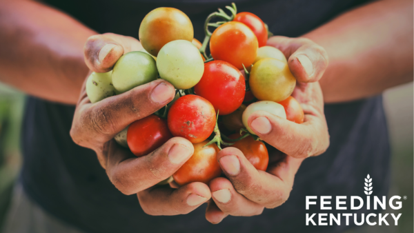 Home - Feeding Kentucky